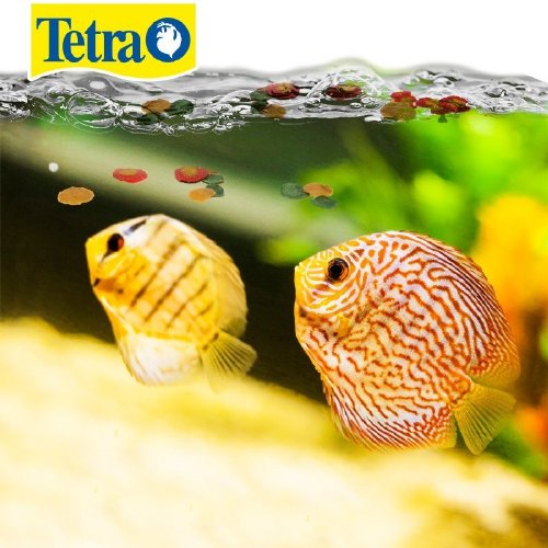 Agropet - TETRA PRO COLOR CRISP 210GR7.41OZ